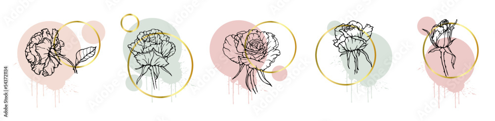 Linear sketches of rose flowers and buds with abstract spots, splashes ...