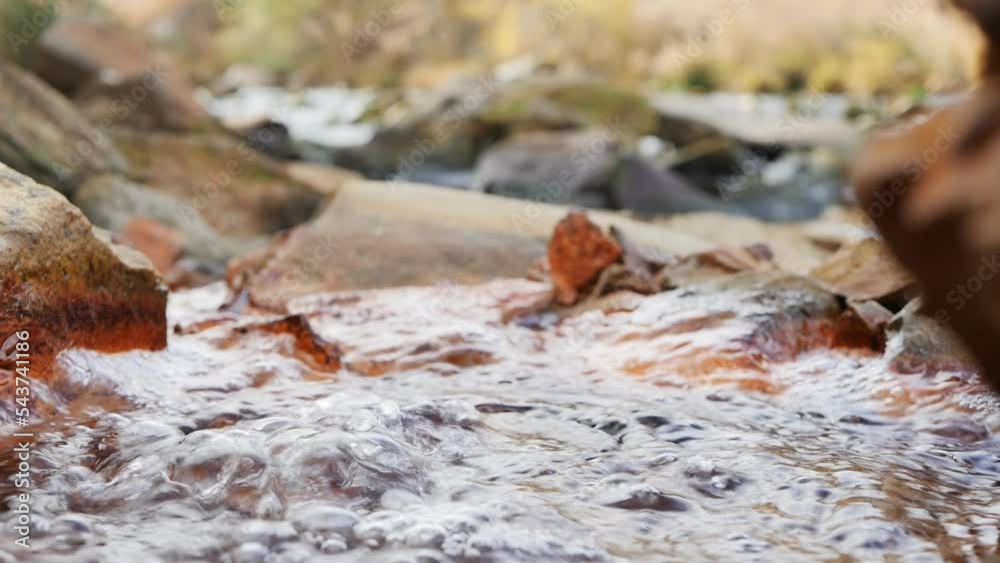 pure mineral water seethes in a spring with bubbles of mineral gases ...
