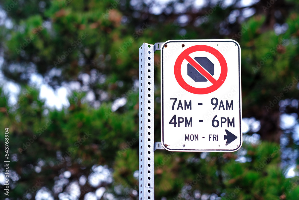No parking sign post against blurred green tree background. Car parking ...