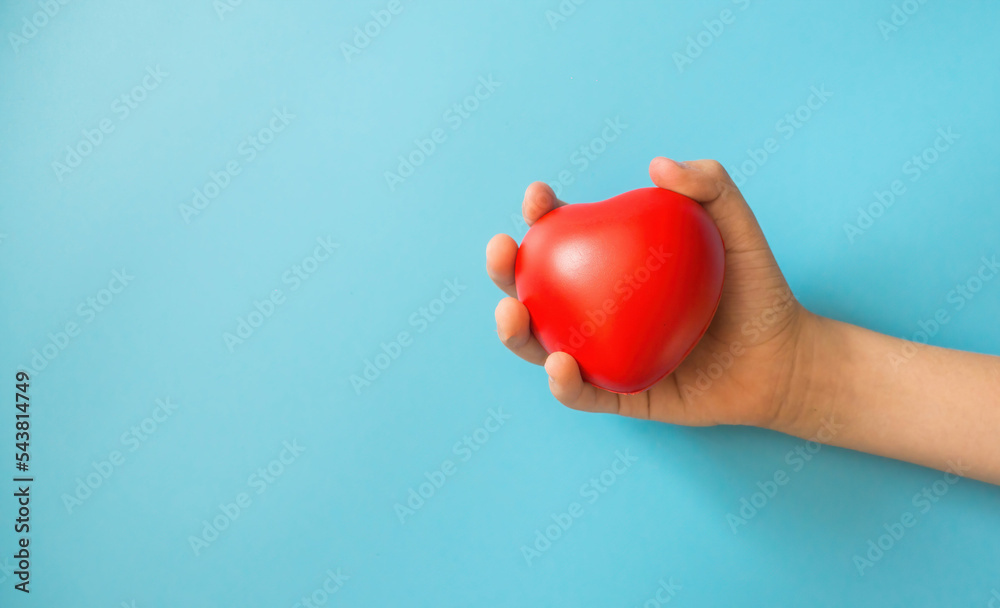 children's hand squeezes a red heart toy on a blue background ...