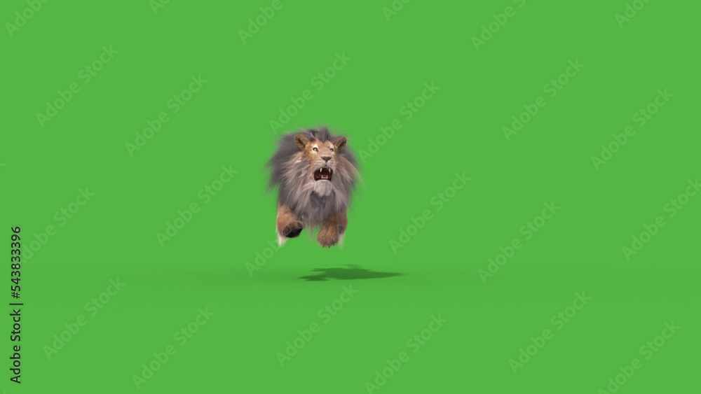 Lion realistic Fur Green Screen Runs Front 3D Rendering Animals ...