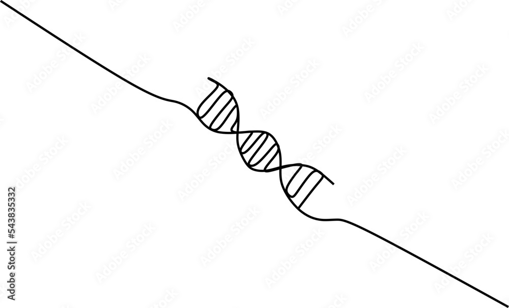 Continuous one line drawing of DNA Stock Vector | Adobe Stock