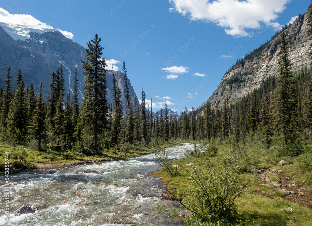 Hiking to Lake Annette in Banff National Park, passing forests and ...