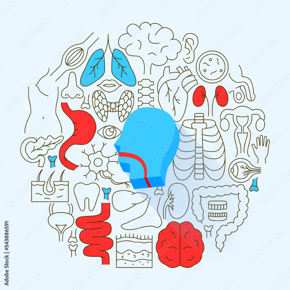 Anatomy Medical Line Icons Circle. Vector Illustration of Outline ...