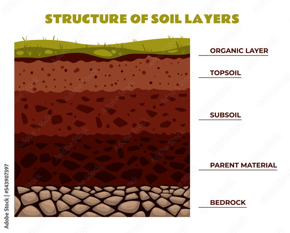Vecteur Stock Soil earth layer section dirt ground geology crust ...