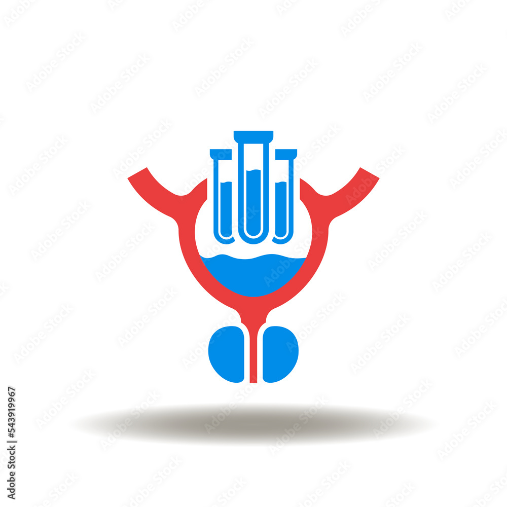 Vector illustration of male repproductive system and prostate gland ...