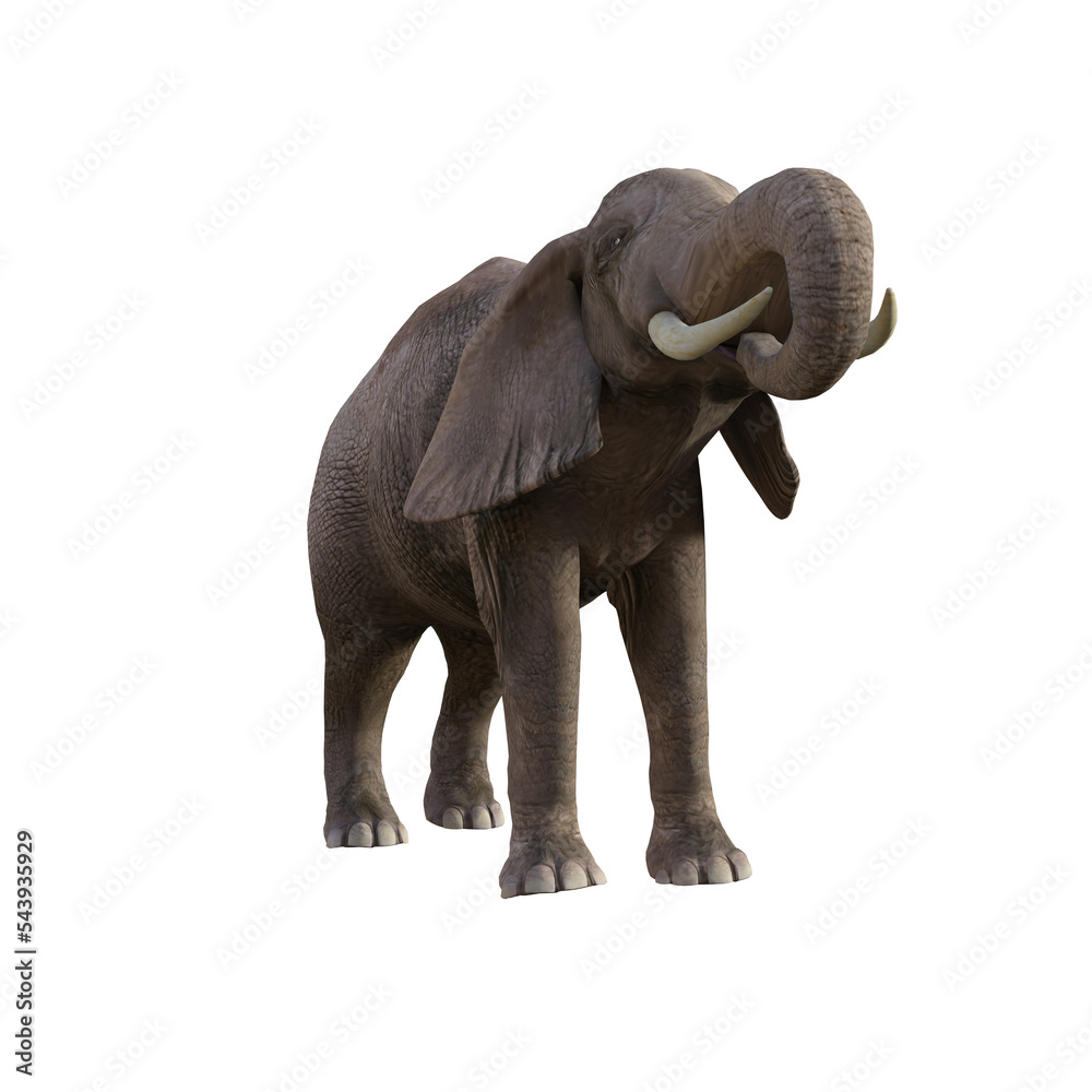 Illustration of an elephant in different poses and angles for collage ...