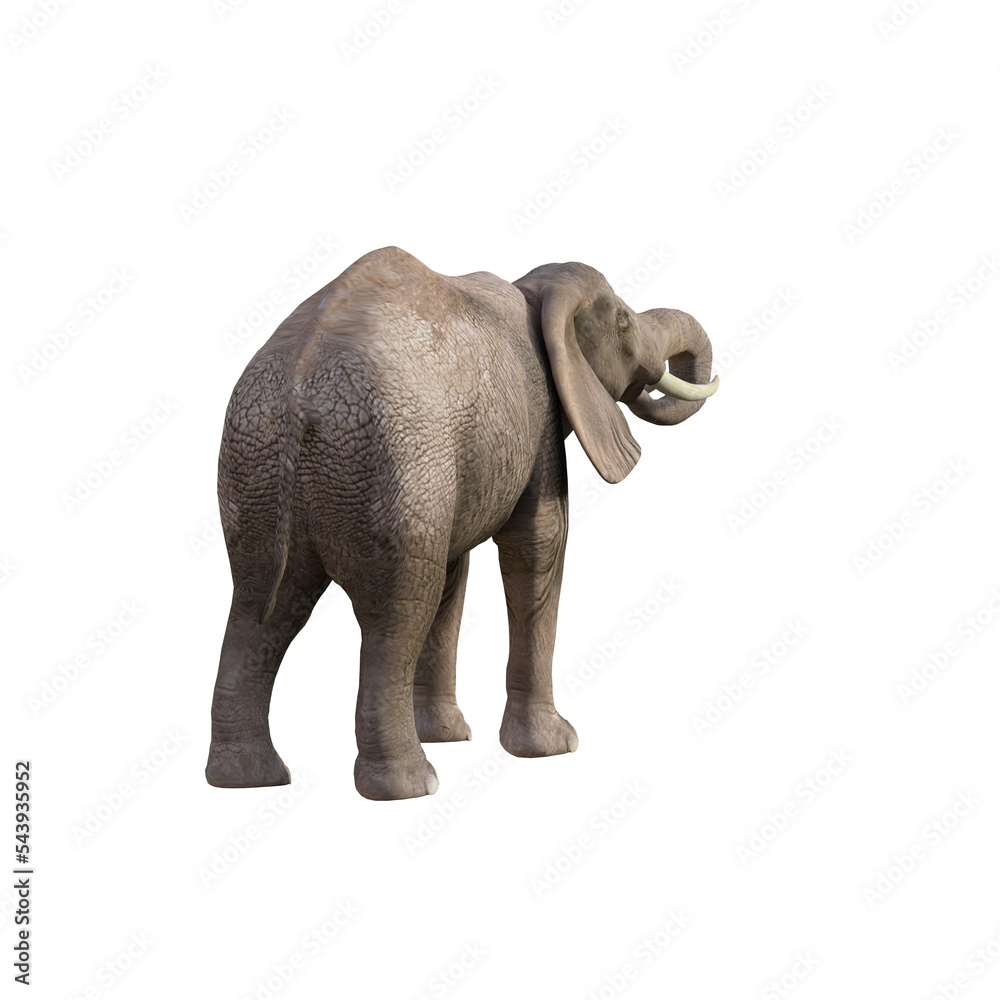 Illustration of an elephant in different poses and angles for collage ...