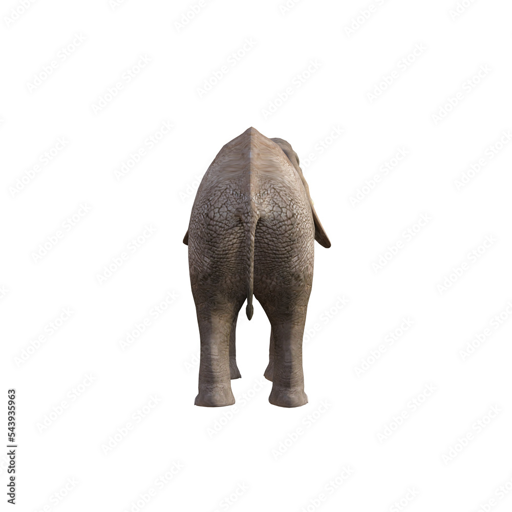 Illustration of an elephant in different poses and angles for collage ...