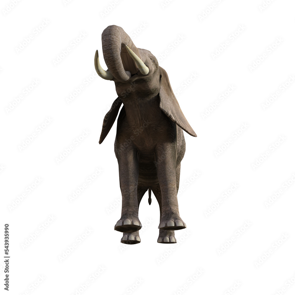 Illustration of an elephant in different poses and angles for collage ...