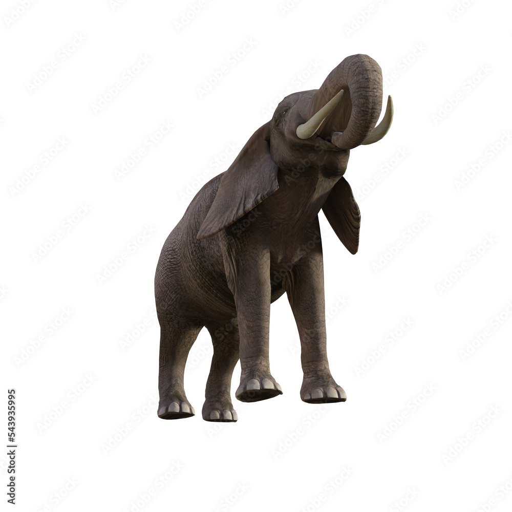 Illustration of an elephant in different poses and angles for collage ...