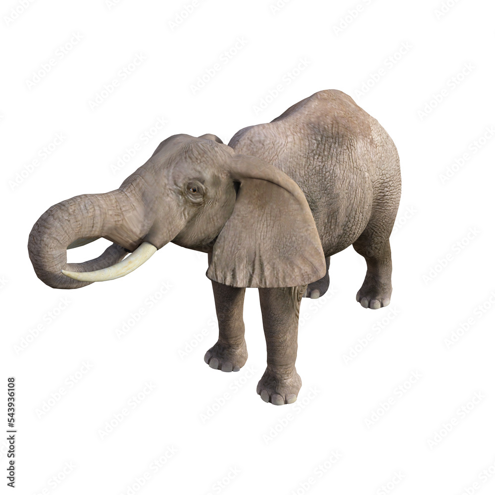 Illustration of an elephant in different poses and angles for collage ...