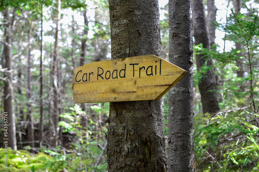 A car road trail sign with black text on a yellow natural board nailed ...