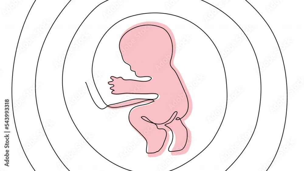 Self-drawing of an embryo in one line on a white screen. The concept of ...