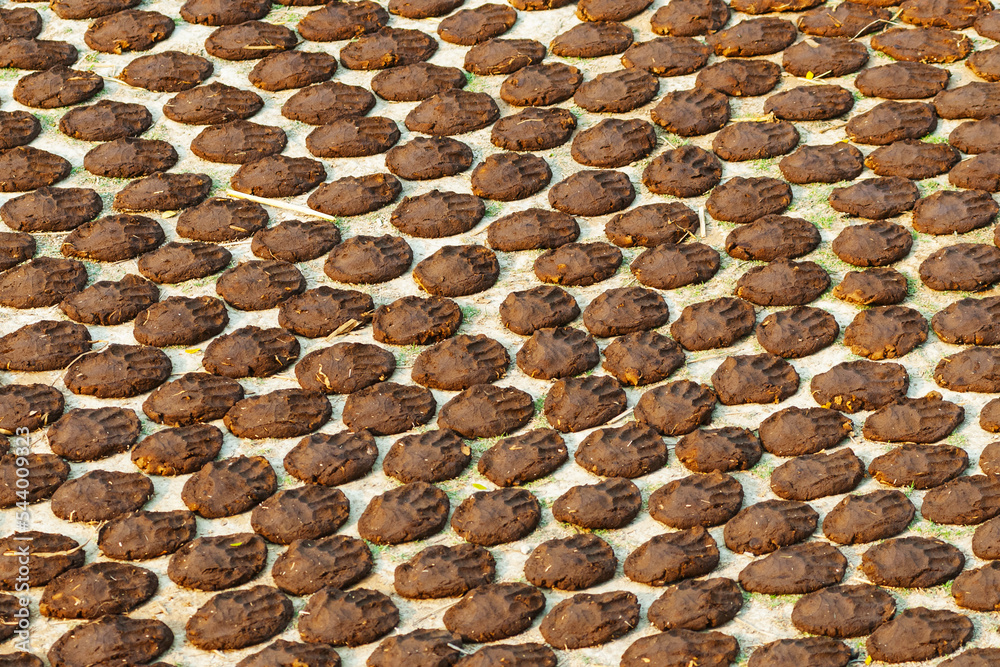 Handprints on cow dung. In the villages on the coast of Bengal, cow ...