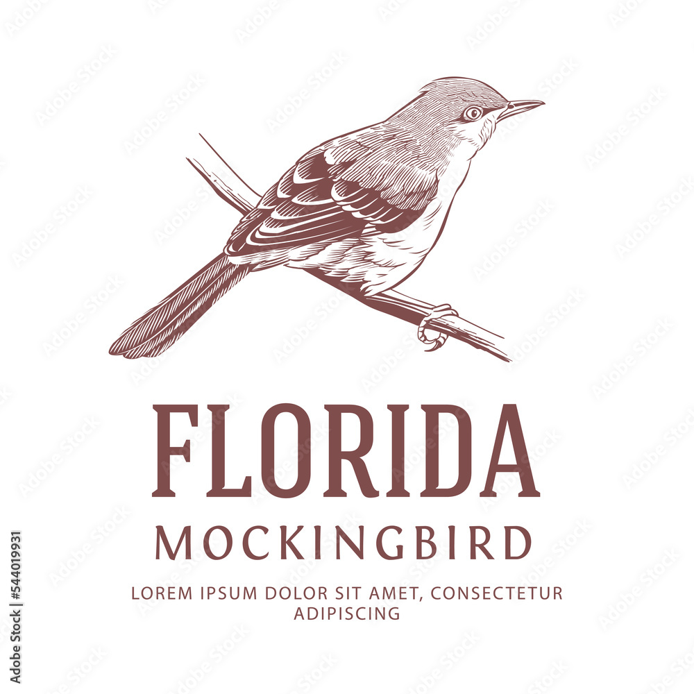 Vetor de Vintage Bird Logo. Mockingbird. State Bird Symbol of Florida ...