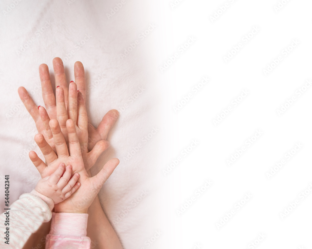 family hands close-up, family put their hands together, open palms of ...
