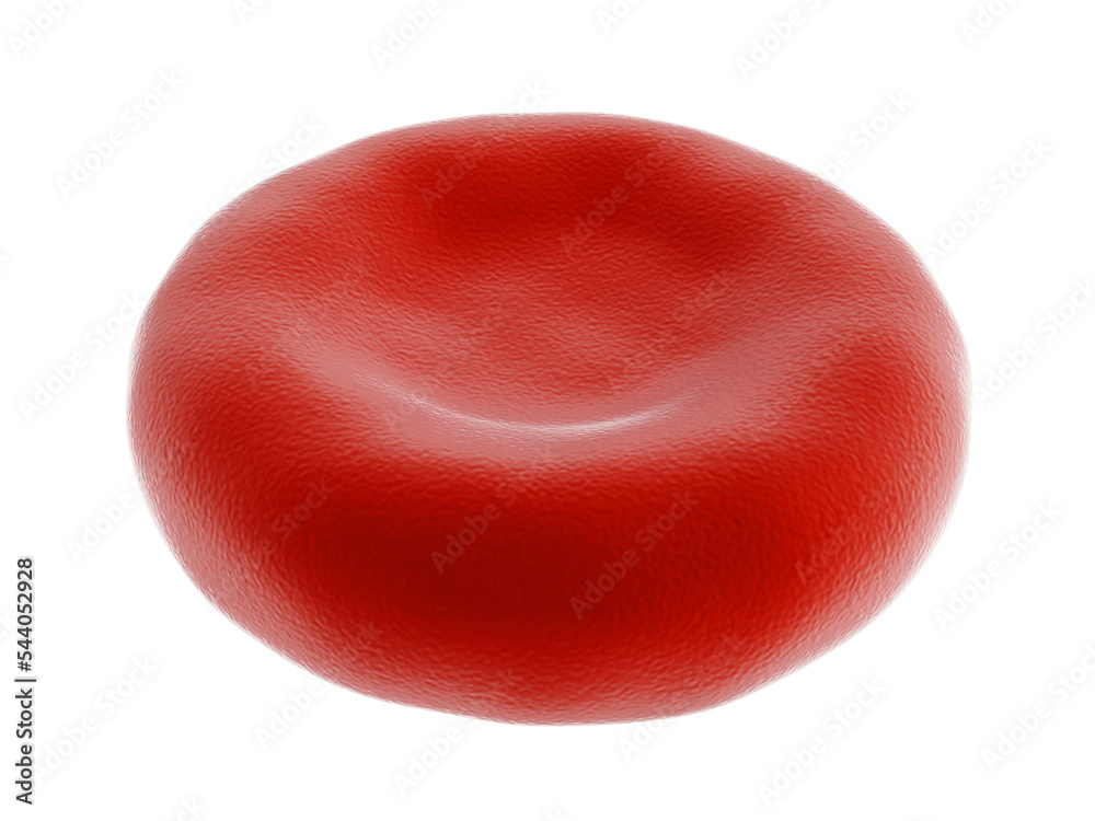 Red blood cell on transparent background. Stock Illustration | Adobe Stock