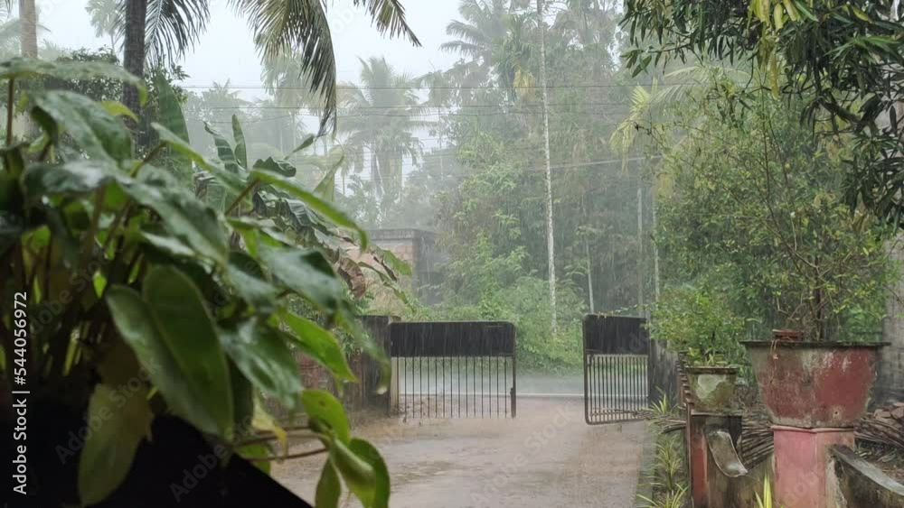 Video Stock Village heavy rainfall and wind in indian state kerala ...