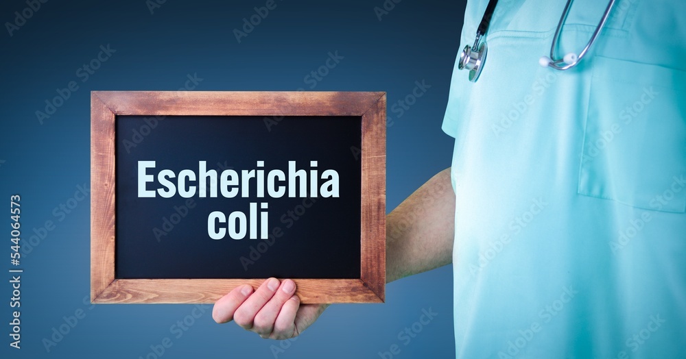 Escherichia coli (E. coli). Doctor shows sign/board with wooden frame ...