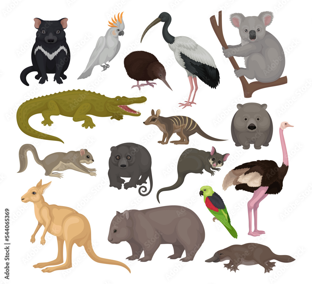 Australian animals set. Kangaroo, wild dog dingo, marsupial bear, koala ...