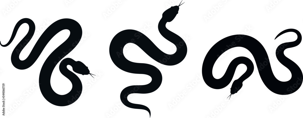Snake silhouette. Isolated snake silhouette on white background Stock ...