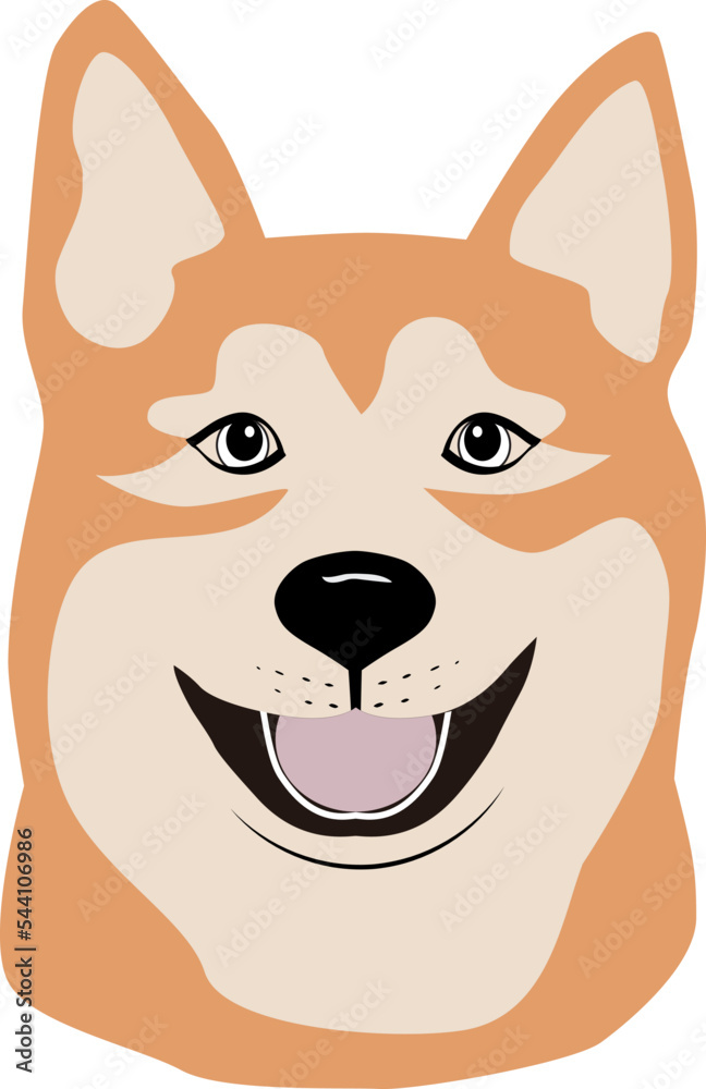 muzzle dog breed Akita inu, full face looking forward symmetrically ...