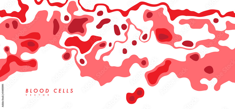 Human red blood cells. Stock Vector | Adobe Stock