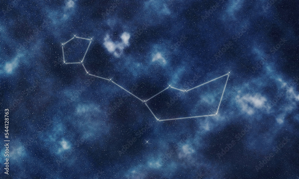 Cetus Star Constellation, Night Sky Whale Stock Illustration | Adobe Stock