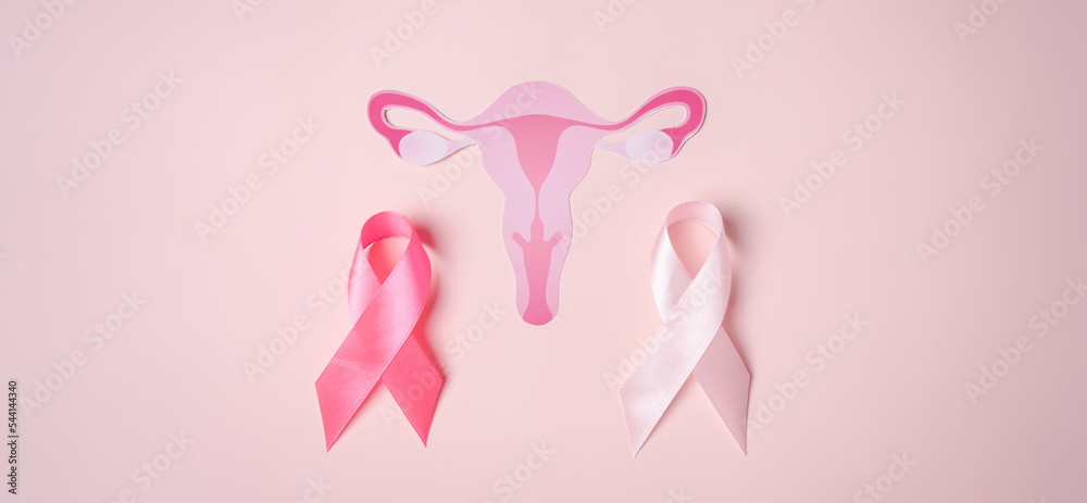 uterus icon with pink ribbons on pink background, female reproductive ...