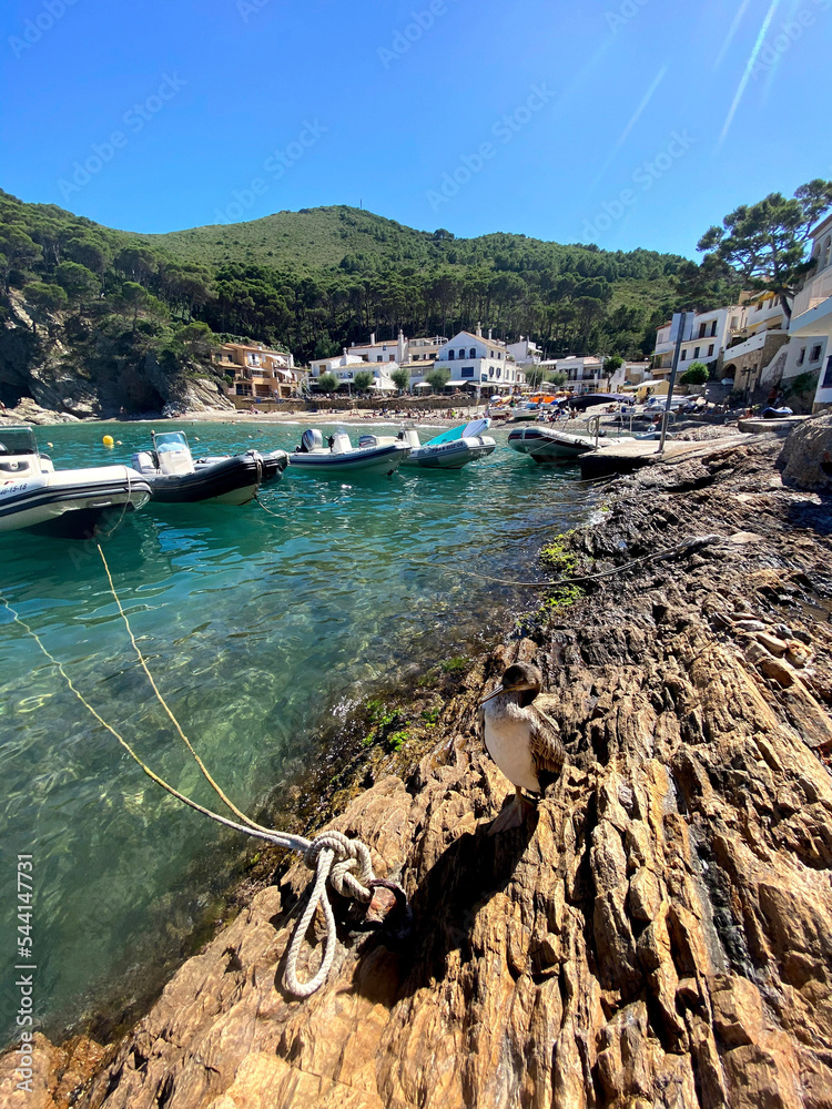 Imágenes y fotografías de paisajes de playa y costa. Stock Photo ...