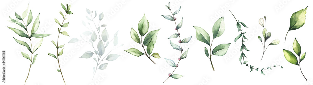 Watercolor floral greenery set of green leaves, branches, twigs etc ...