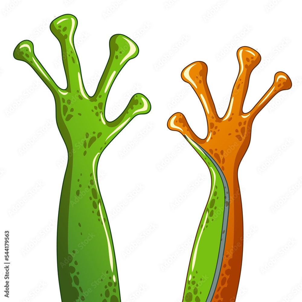 Arte de pata de sapo, rã e perereca. Duas patas de anfíbio Stock ...