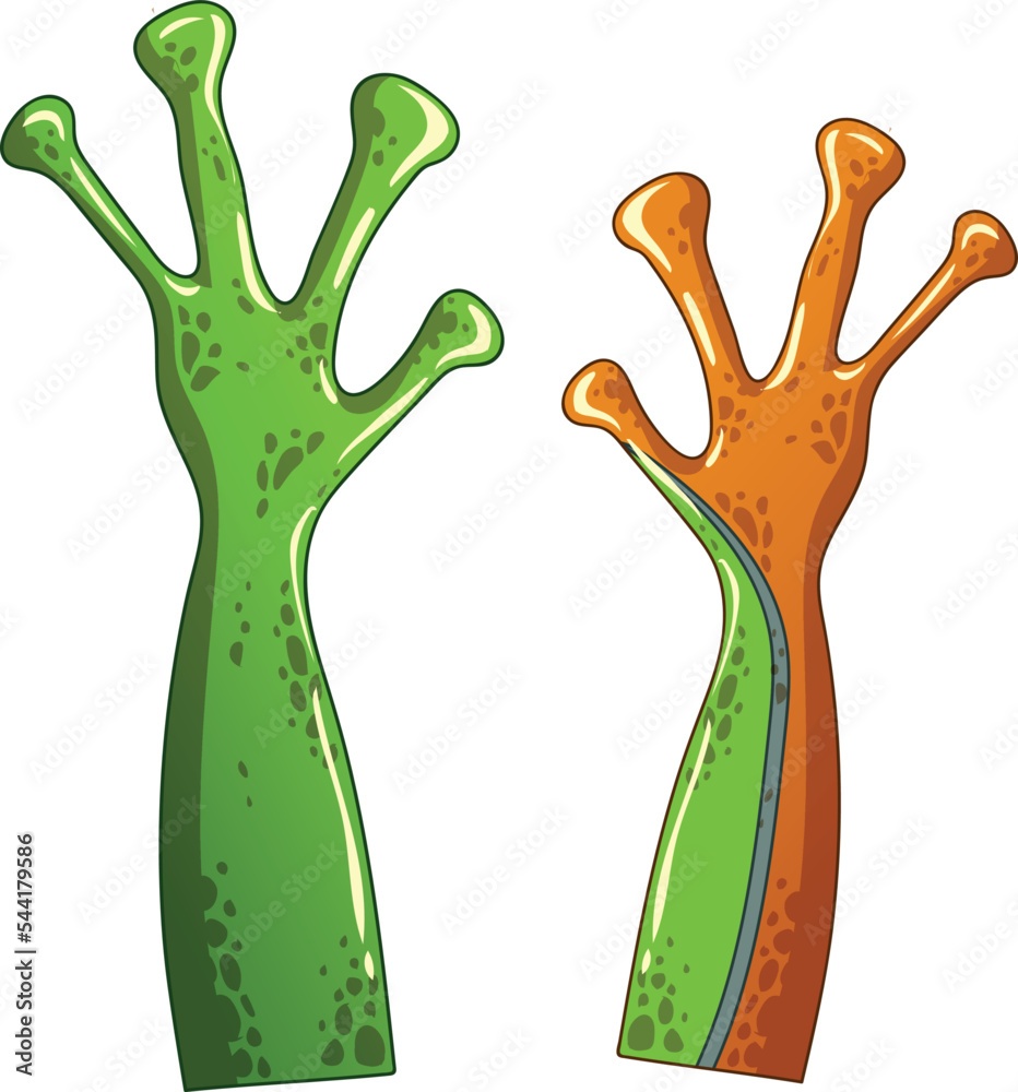 Ilustração 2d de patas de sapo, rã e perereca, Arte Digital, Desenho ...