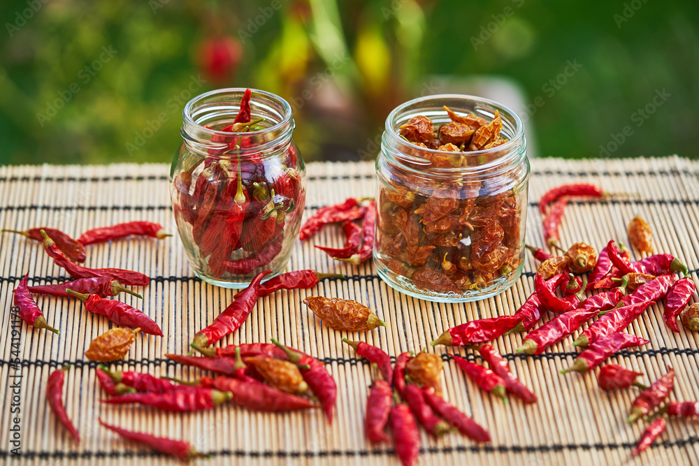 Freshly sun dried red and yellow chilli peppers from organic ...