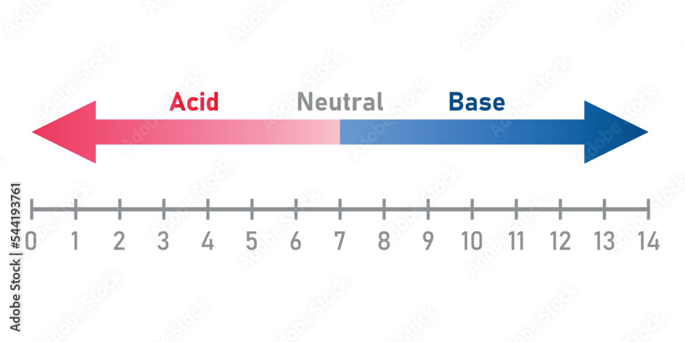 The ph scale diagram. Acid, neutral and base. Scientific vector ...
