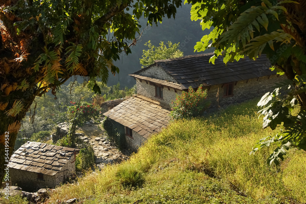 Authentic traditional nepalese stone farmhouse in summer. Annapurna ...