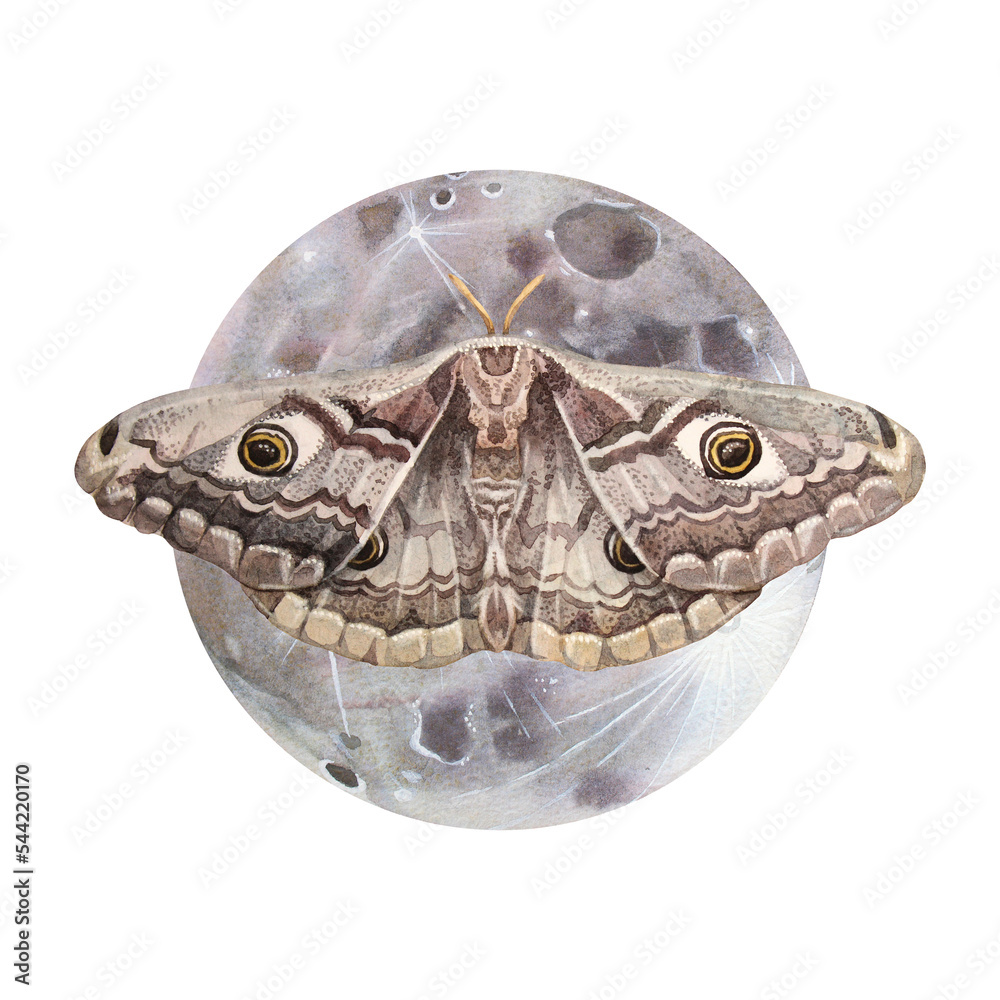 Watercolor magic moon with moth isolated on white background. Hand ...