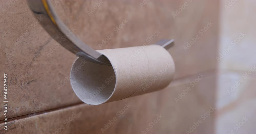 Dog paw nervously scrolls empty roll toilet paper on holder in bathroom ...