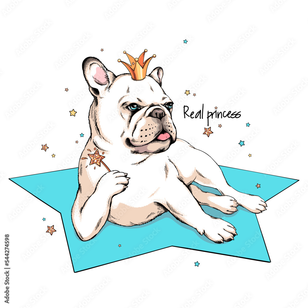 Cute french bulldog wearing a princess crown. Real princess ...