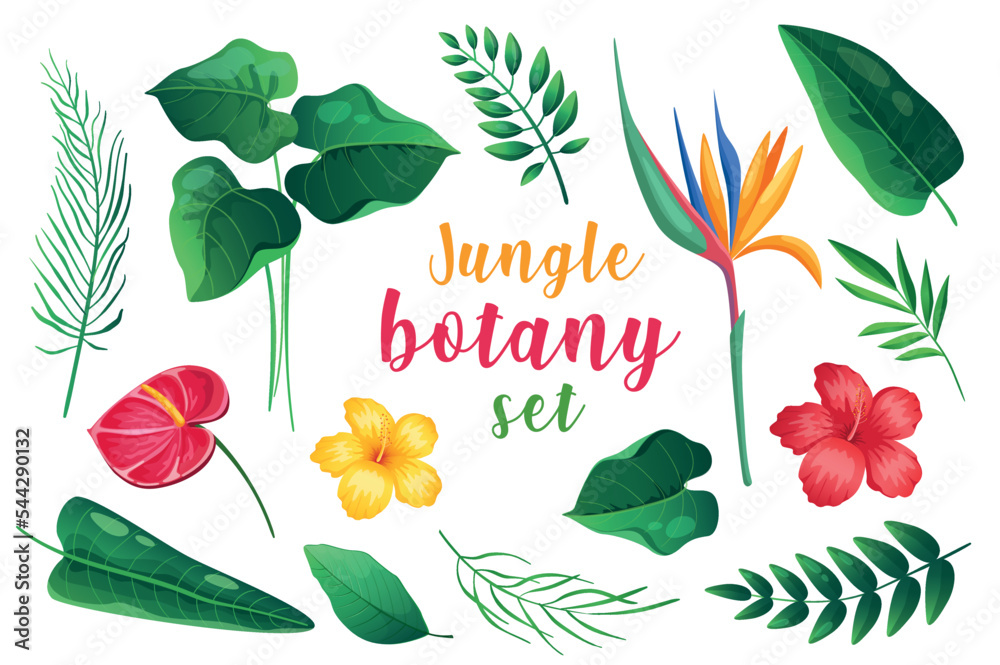Jungle botany in cartoon style set isolated elements. Vector ...