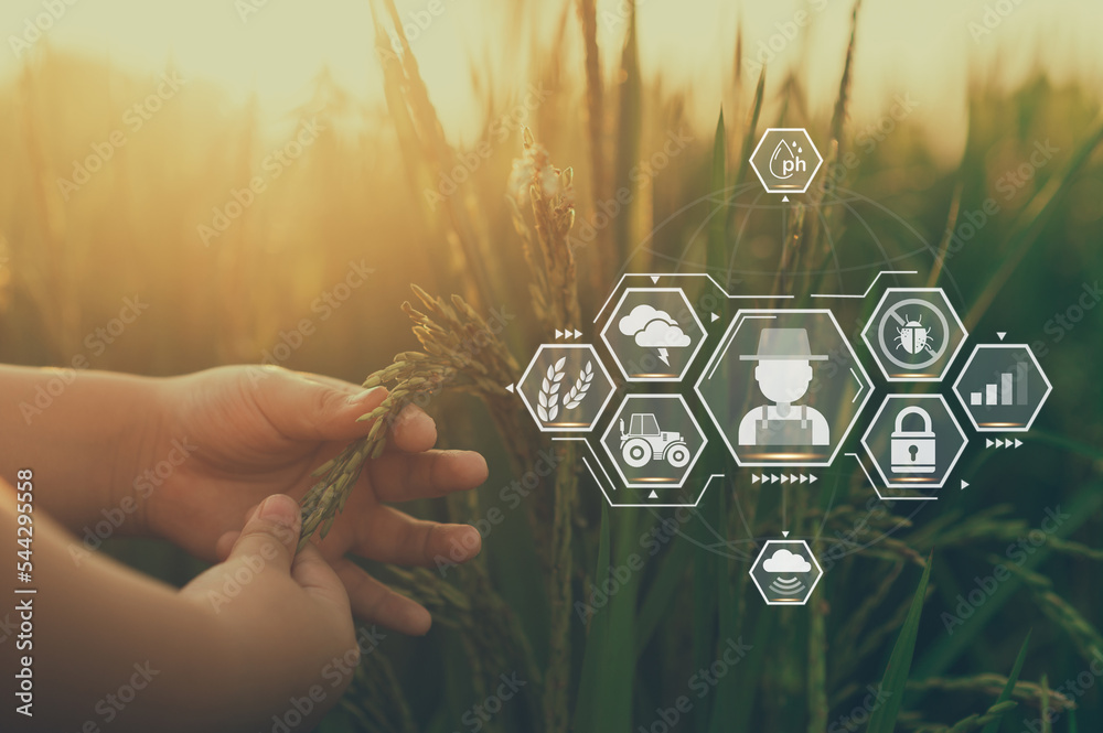 Smart Farm, Agricultural Technology and Organic Agriculture Boys hold ...