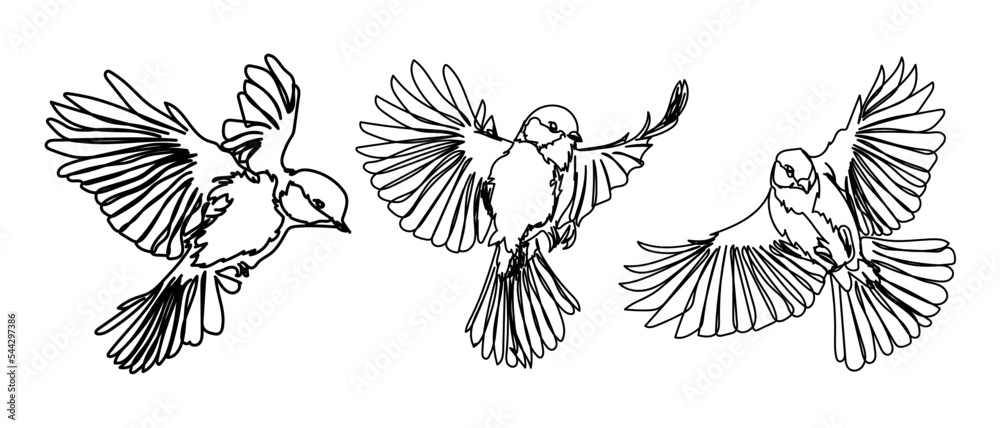 Flying bird continuous line drawing element isolated on white ...