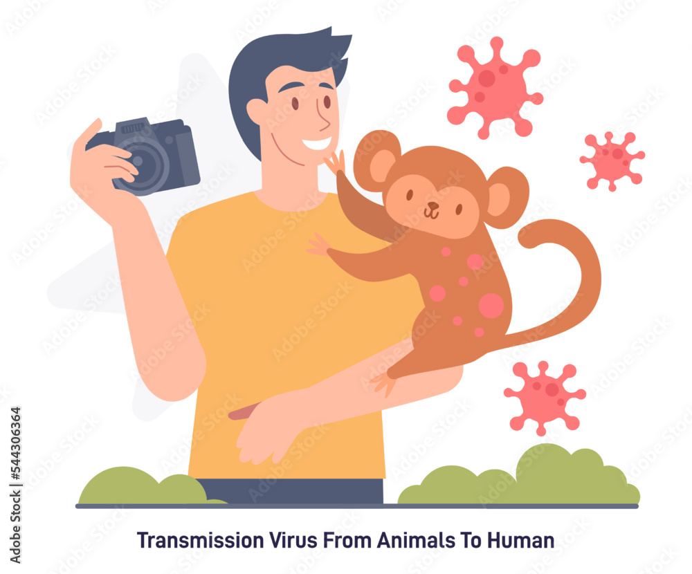 Monkeypox virus infographic. Transmission from animals to human Stock ...