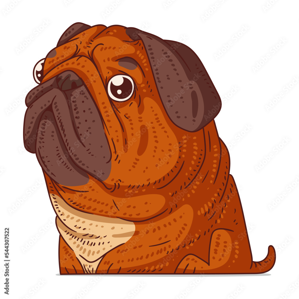 Confused Pug, isolated vector illustration. Funny cartoon picture of a ...