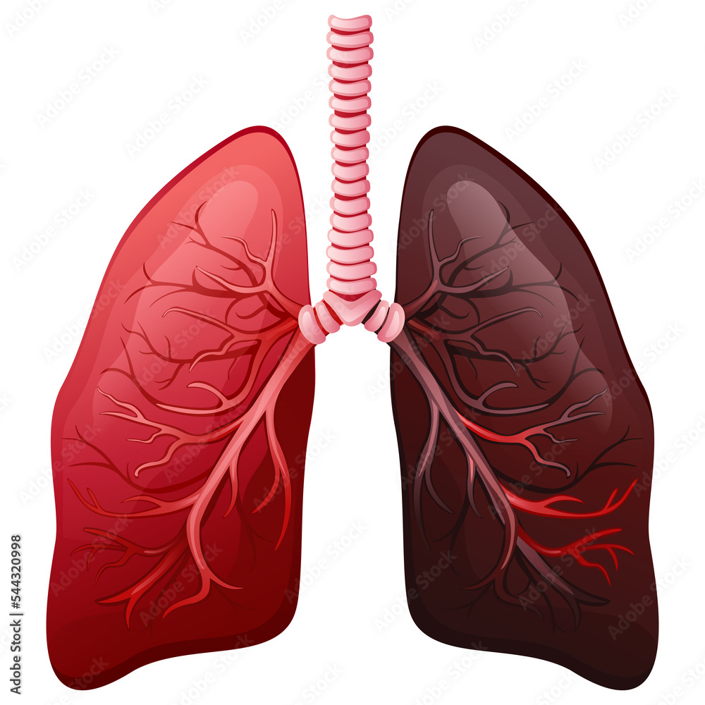 National Pollution Prevention Day with healthy and Unhealthy Lungs ...