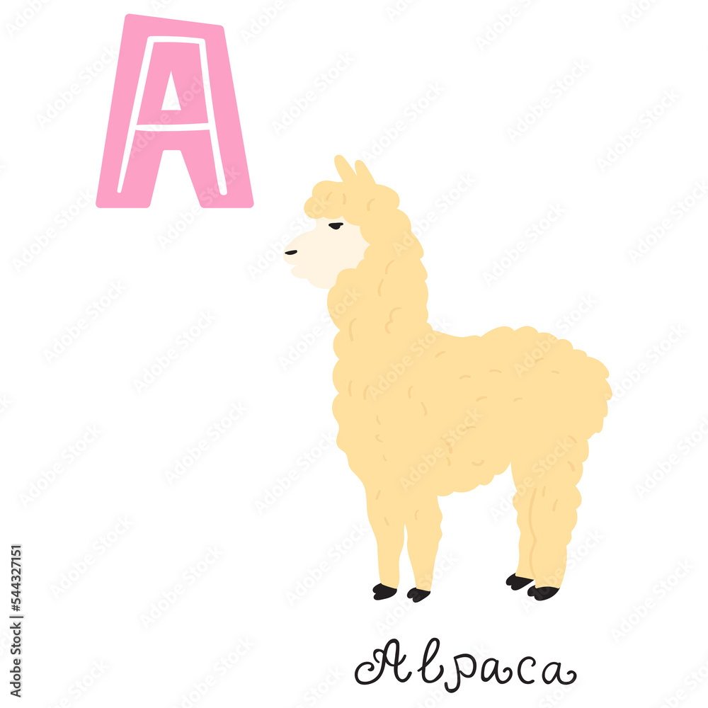 Alpaca. Letter A. Educational concept. Learn alphabet. Vector ...