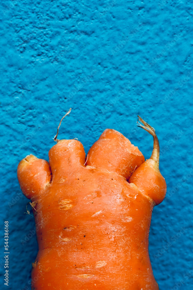 Ugly carrot root vegetable grown like human foot and fingers isolated ...