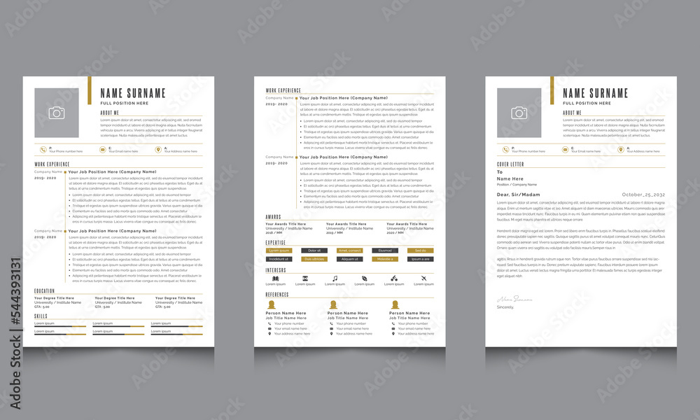 Professional CV Template or Cover Letter Jobs Resume Editable CV Vector ...