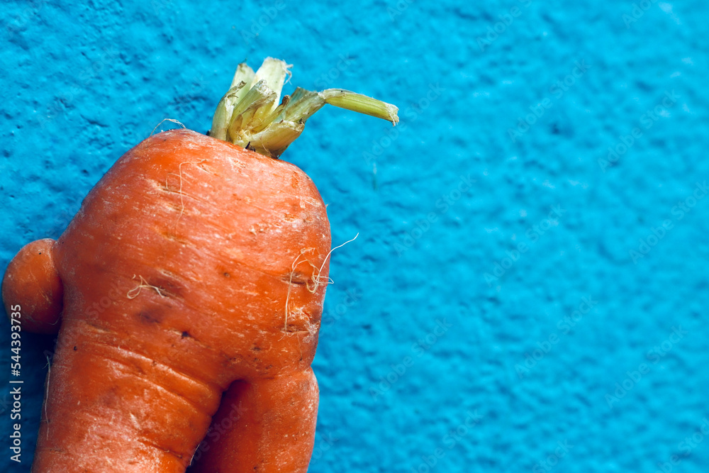 Ugly carrot root vegetable grown like human body part isolated against ...